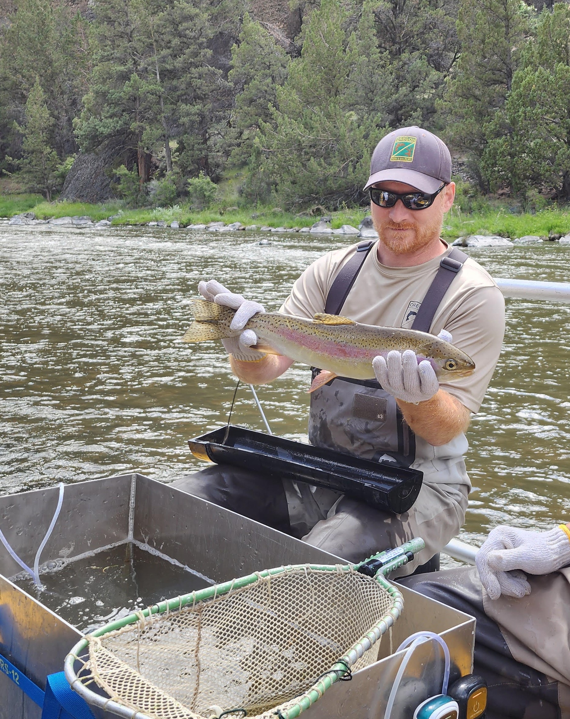 Crooked River fish count: day 1 – Central Oregon Informed Angler