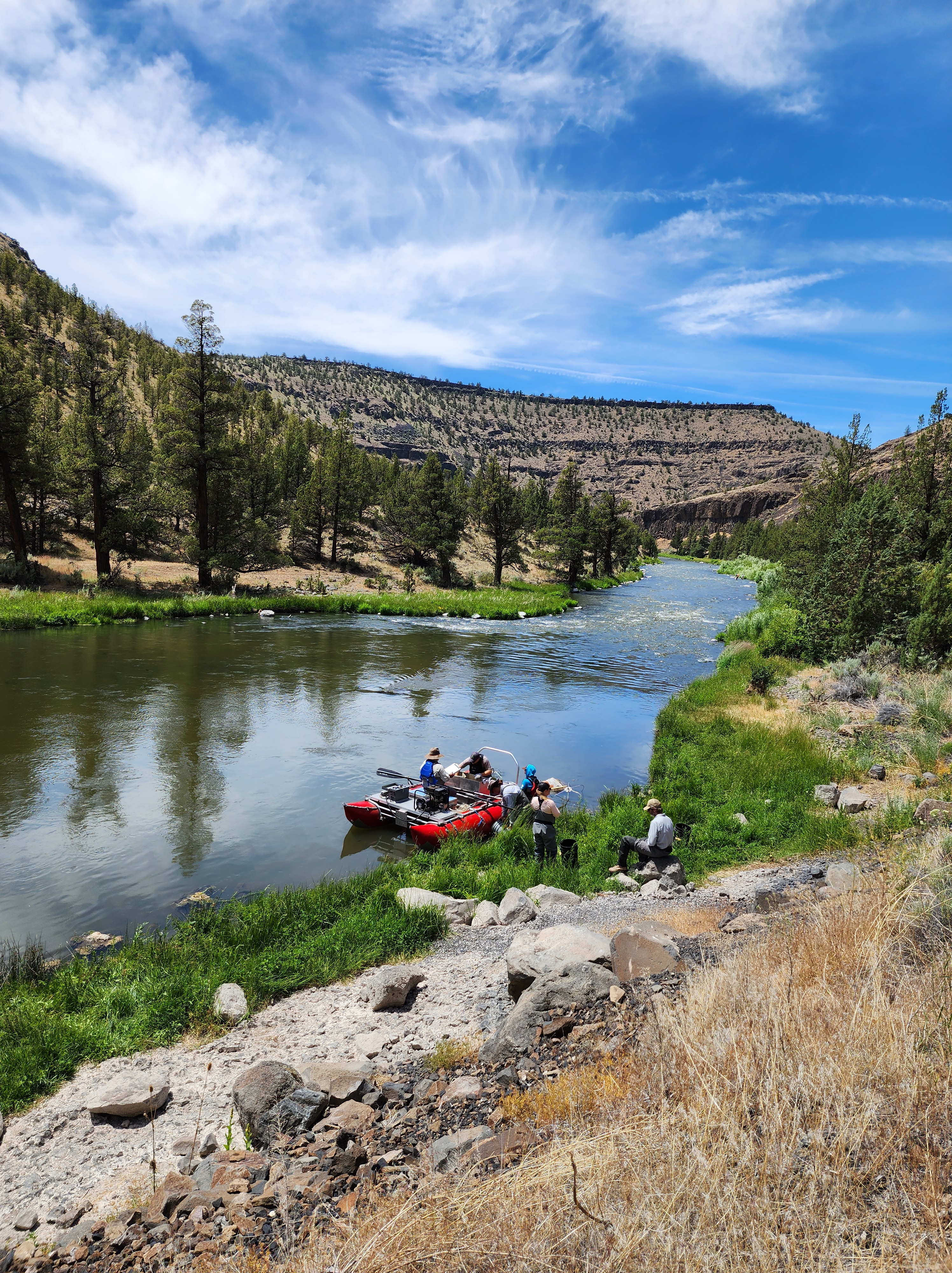 Crooked River fish sampling – Central Oregon Informed Angler