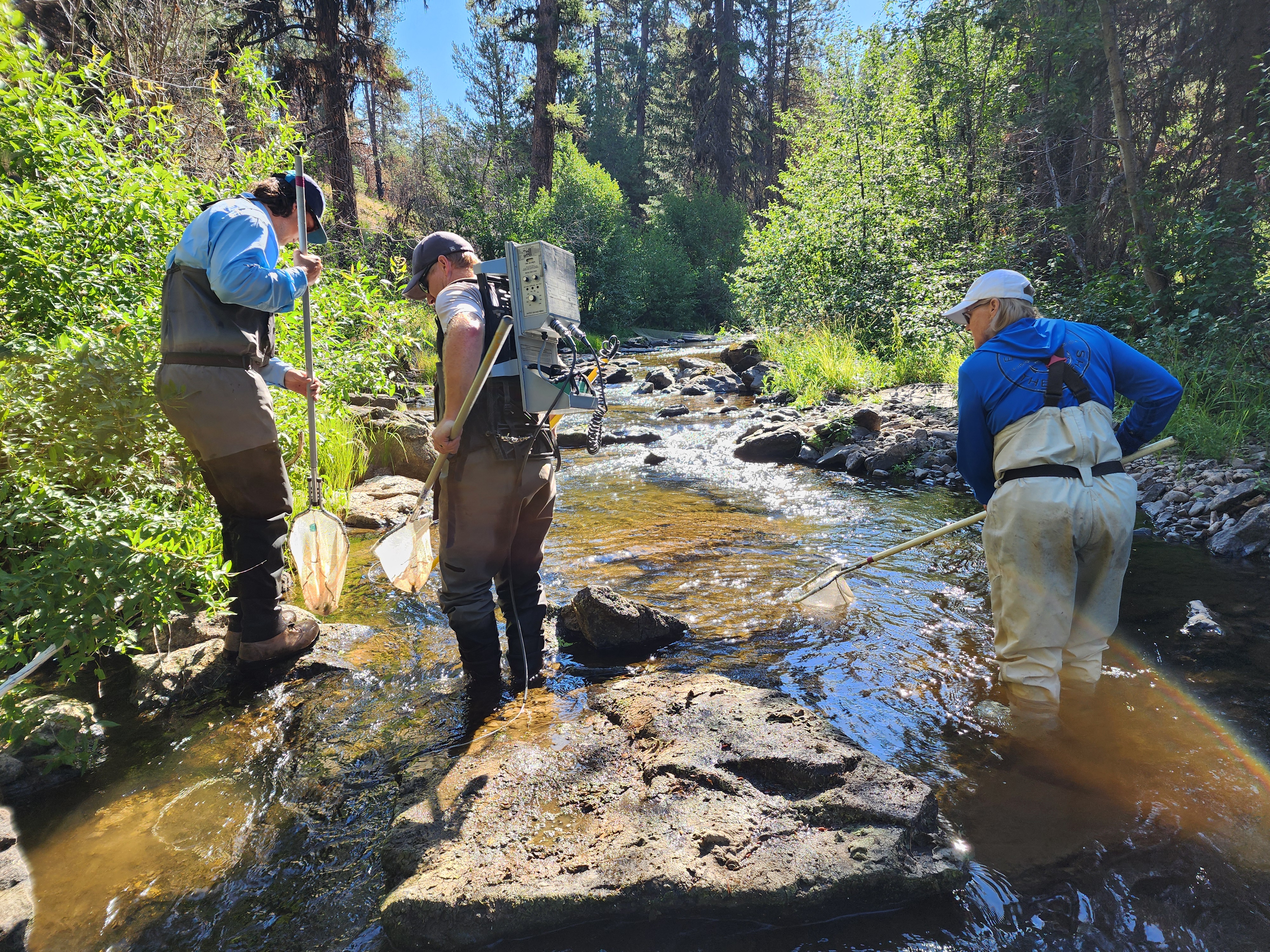 Ochoco National Forest creek fish survey – Central Oregon Informed Angler